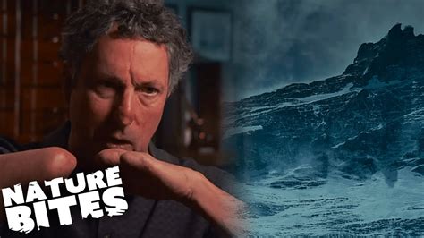 Mount Everest 1996 Survivors The Incredible Story Of Beck Weathers