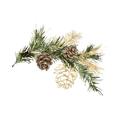 Learning The Herb Boneset A Useful Native Medicinal Plant The