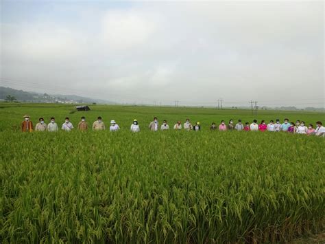 မူဆယ်မြို့၊ မြို့နယ်စိုက်ပျိုးရေးဦးစီးဌာနမှ မျိုးစေ့ထုတ်တောင်သူ ၂၁ ဦးအား Cerp အရ ဒုတိယကြိမ