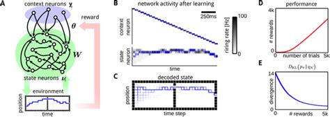 Illustration Of The Model For Finite Horizon Planning A The Neural Download Scientific