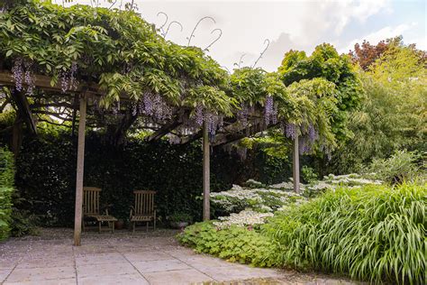 Kleine Tuin Met Natuurlijke Vijver Ontwerp En Aanleg
