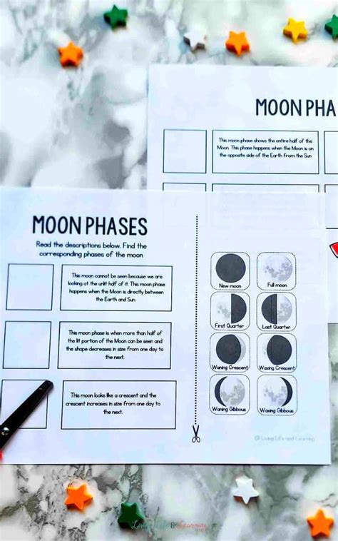 Moon Phases Coloring Pages Moon Phases Crystals Mushrooms Succulents