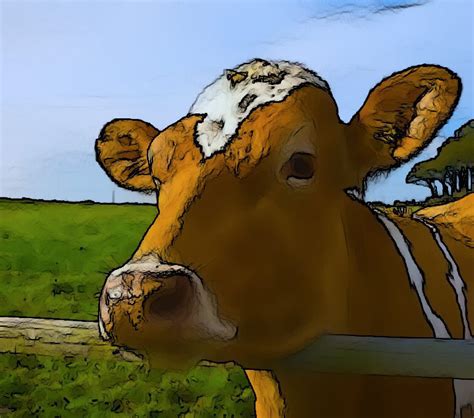 Non Photorealistic Rendering Using Opencv Python C Learnopencv