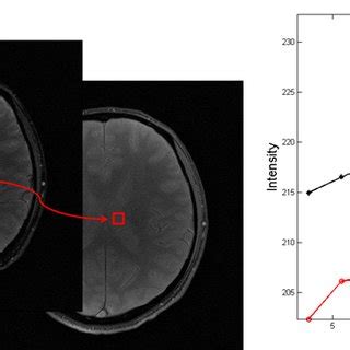Signal Correlation Analysis Between Any Signal And The Reference Download Scientific Diagram