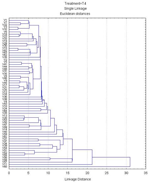 Dendrogram Resulting From Single Linkage Cluster Analysis Of 64 Download Scientific Diagram