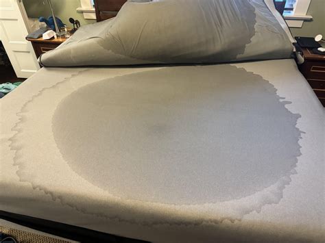 Eight Sleep Pod Pro Cover Leak Reightsleep