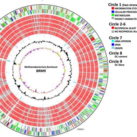 Genome Atlas Of Methanobacterium Formicum Brm9 The Circles From The