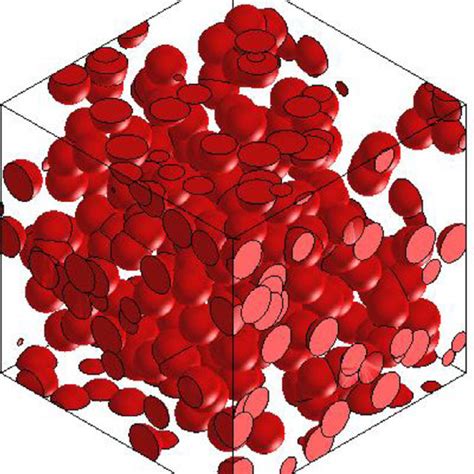Porous Microstructures With 200 Overlapped Spherical Voids Download Scientific Diagram