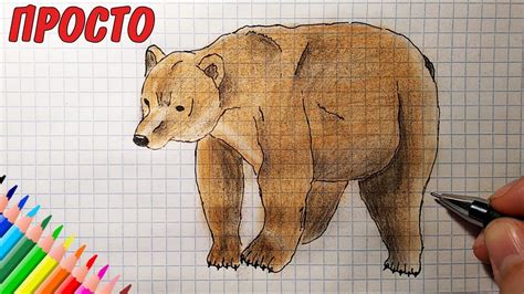 Как нарисовать МЕДВЕДЯ 1080р How To Draw A Bear Youtube