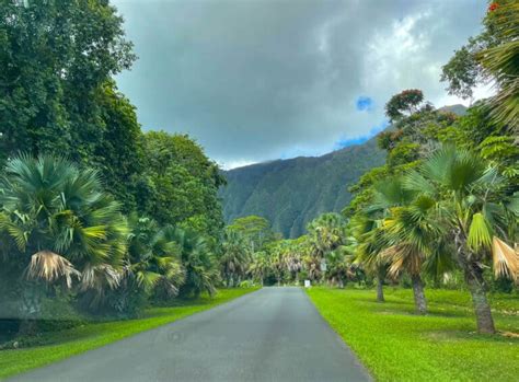 Hoomaluhia Botanical Garden In Oahu Hawaii Ultimate 2026 Guide