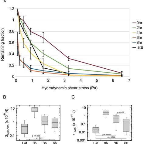 A Microfluidic Assay The Remaining Fraction Of Cells After 40 Minutes Download Scientific