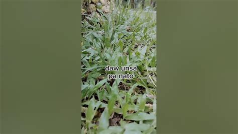 Ang Dyutay Nga Sagbot Youtube