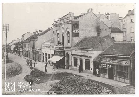 Зелени венац од Милорада Драшковића Сремске