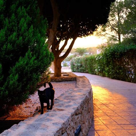 Gillian Taylor Gilly T Photography • Instagram Photos And Videos