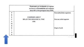 Presentation On Geological Time Scale Pptx