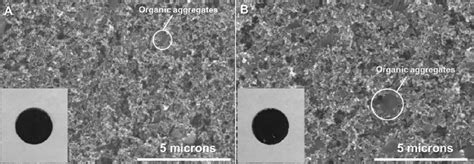 Examination Of Morphology Of Fr Pdi A And Sm Pdi B Using Sem Download Scientific Diagram