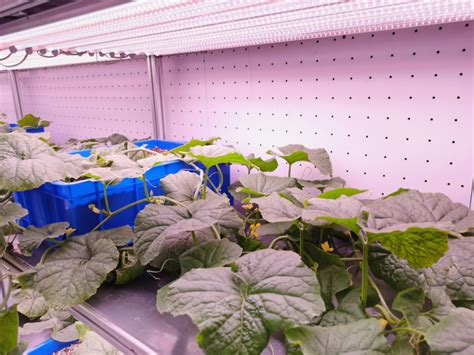 培养架型人工气候室 杭州利全科技有限公司