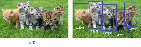 Object Detection And Semantic Segmentation