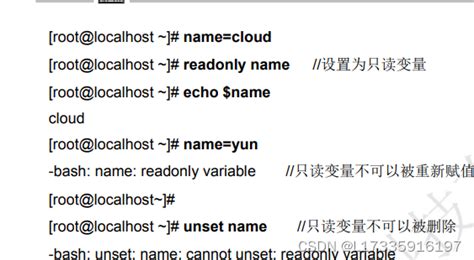 01 Shell 编程规范与变量 Csdn博客