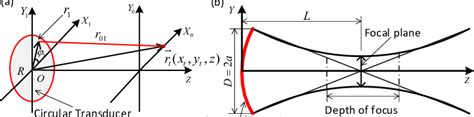 Schematic Of Plane Circular Transducer And Spherical Focused