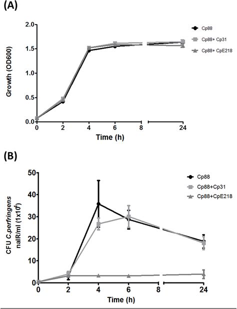 C Perfringens Type E Cpe218 Strain Inhibits The Growth Of Type A Download Scientific Diagram