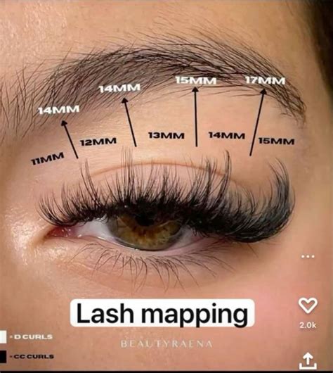 21 Lash Maps 🗺️ Ideas In 2025 Lashes Fake Eyelashes Perfect Eyelashes Pretty Lashes