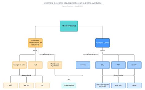 Les Diagrammes De Structure Composite Uml Lucidchart Vrogue Co