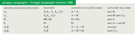 Gruppo Sanguigno Enciclopedia Treccani