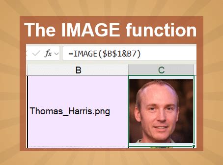 The IMAGE Function In Excel A Quick Overview
