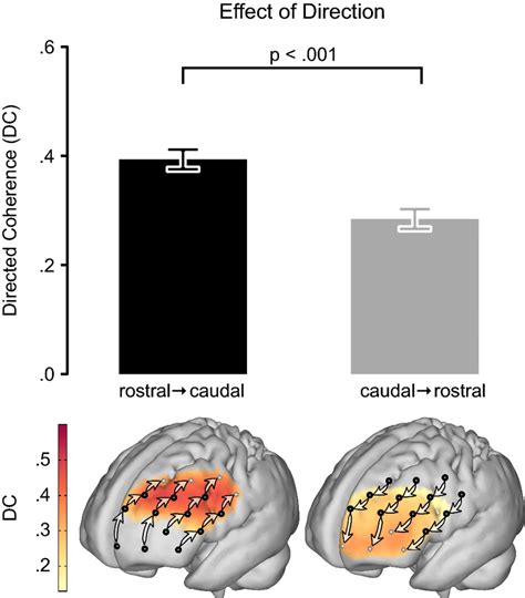 Granger Causality Analysis Of Directed Interactions Reveals The