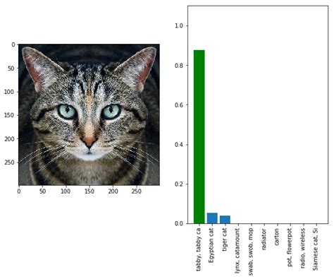 A Step By Step Guide To Synthesizing Adversarial Examples