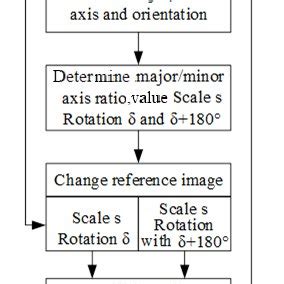 The Object Detection Model On Colour Image Download Scientific Diagram