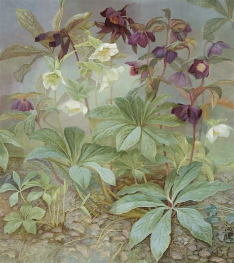 Jane Wormell Works Jonathan Cooper