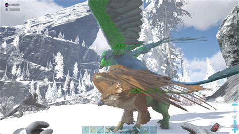 Hunting Griffins Ark Survival Evolved YouTube