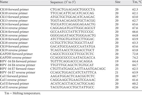 List Of Primers Used To Check Cell Specific Marker Expression At Mrna