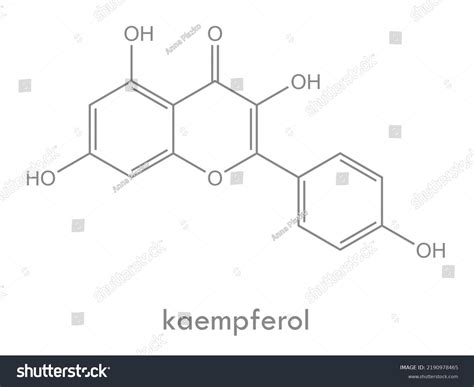 Kaempferol Over 65 Royalty Free Licensable Stock Illustrations