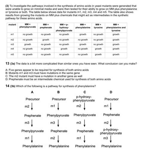 Solved 3 To Investigate The Pathways Involved In The