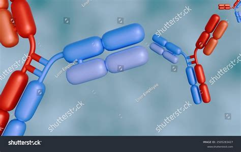 3d Rendering Bispecific Antibodies Bsabs Have Stock Illustration