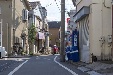 下町の黒いごろーん 一日一猫