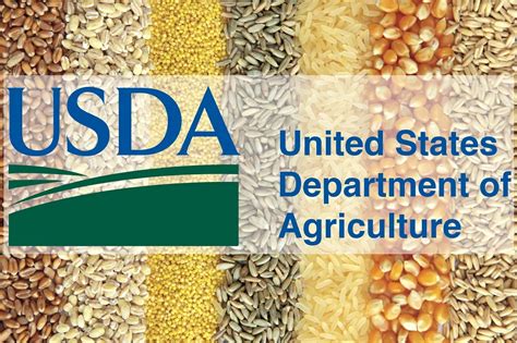 Us Agencies Launch Food Safety Initiative World Grain