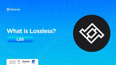 What Is Lossless Lss Protecting Digital Assets From Cyber Attacks