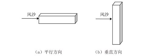 棉花苗期风沙危害指标试验