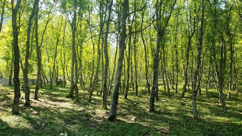 Orxan Hasanov Posted On Linkedin