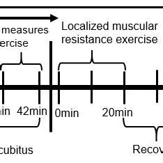 Flow Diagram Of The LMR And Aerobic Exercises Protocol Download Scientific Diagram