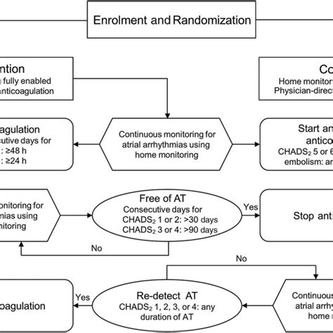 Anticoagulation Initiation And Interruption Algorithm For The Download Scientific Diagram