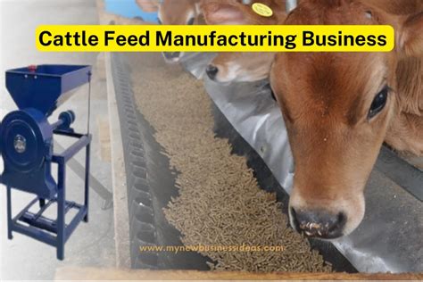 Cattle Feed Manufacturing Business The Complete Guide