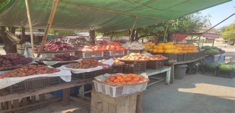 ကန့်ဘလူမြို့တွင် စတော်ဘယ်ရီသီးများ စတင်ရောင်းချလျက်ရှိ Consumer