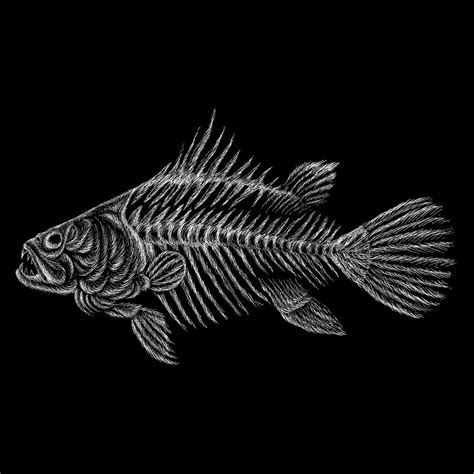 Fish Skeleton Labeled