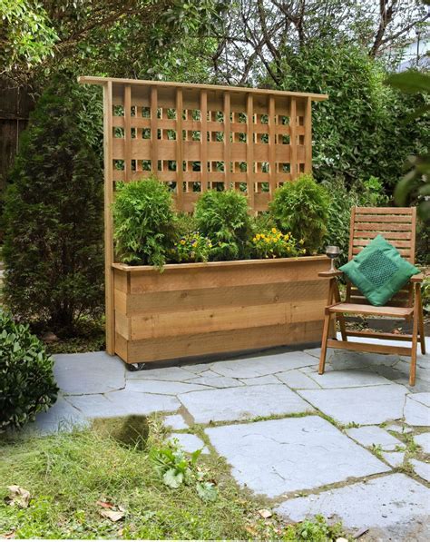 Diy Trellis Ideas For A Stunning Garden Display