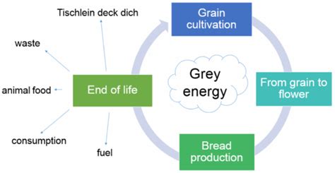 The Life Cycle Of Bread Don T Waste My Energy